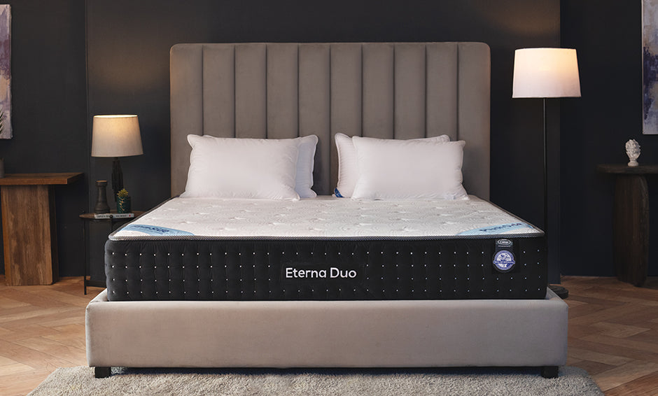 Shop The Best Spring Mattress in Pakistan – Master Celeste